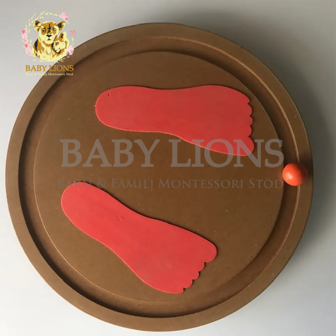 Early Childhood Toys Montessori Kindergarten Educational Materials Feet ...